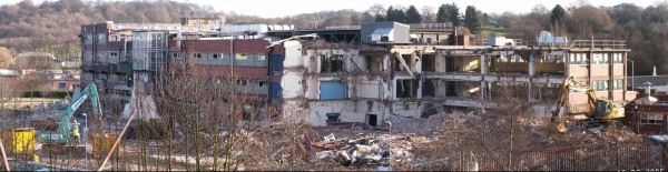 treebor, Chesterfield